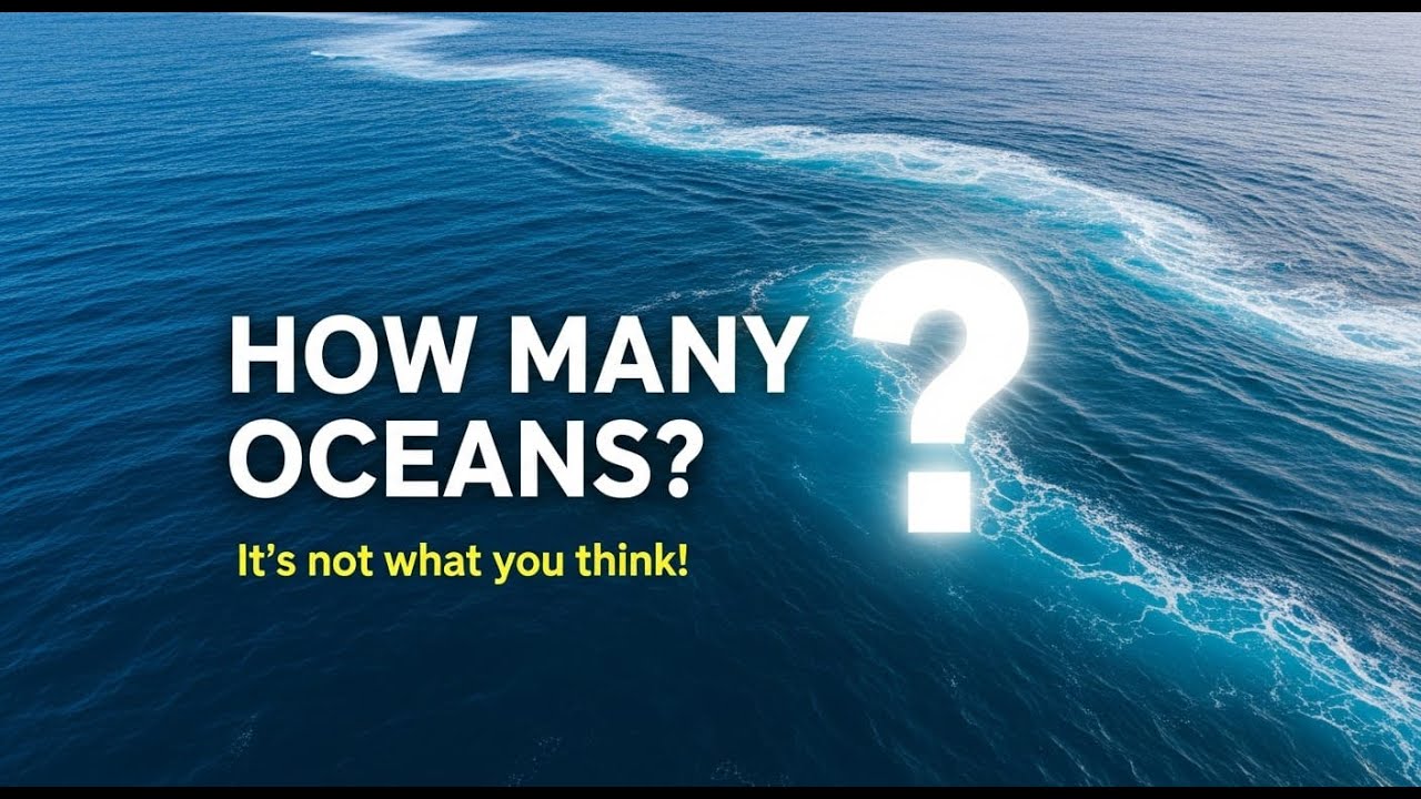 How Many Oceans Are on Earth and Why They Matter. - YouTube