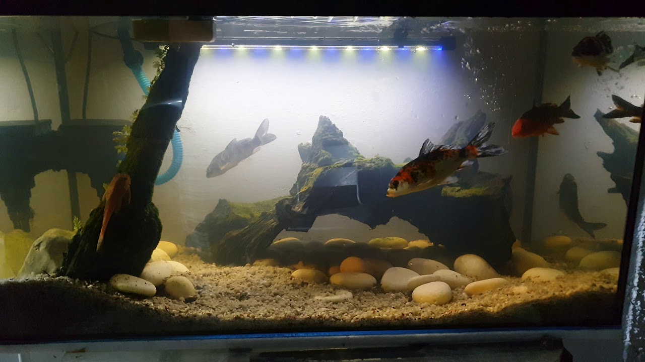 Aqua Escape pure material (First Trial) - YouTube
