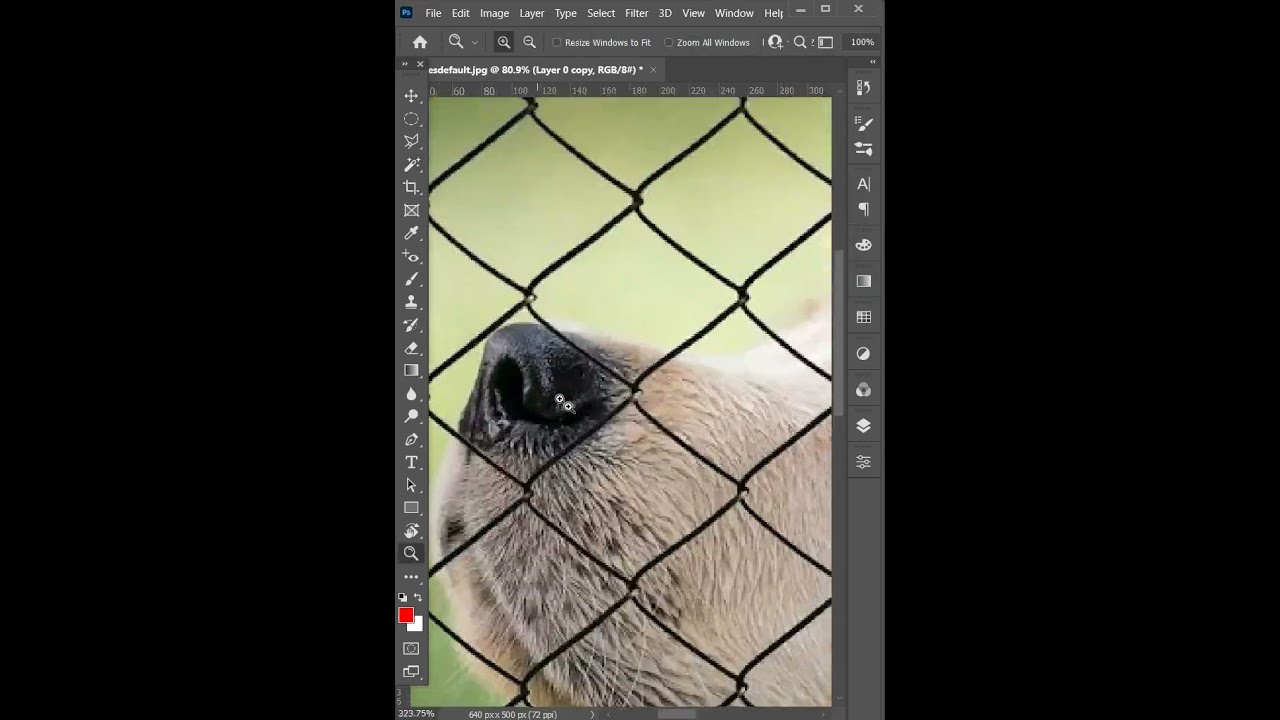 Remove fence in photoshop tutorial #shorts - YouTube