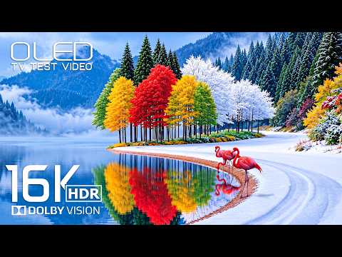 Remarkable OLED TEST Dolby Vision | Stunning 16K HDR 120fps for 8K Video/4K Video ULTRA HD TV