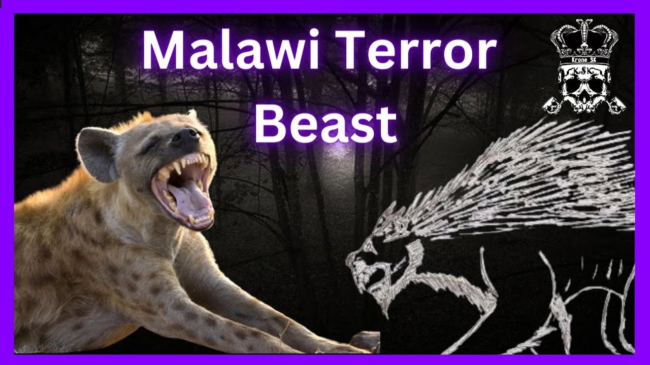 Malawi Terror Beast: Monster oder Hyäne? - YouTube