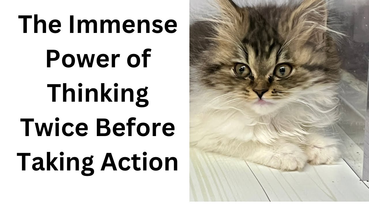 The Immense Value & Wisdom of Thinking Twice !!! - YouTube