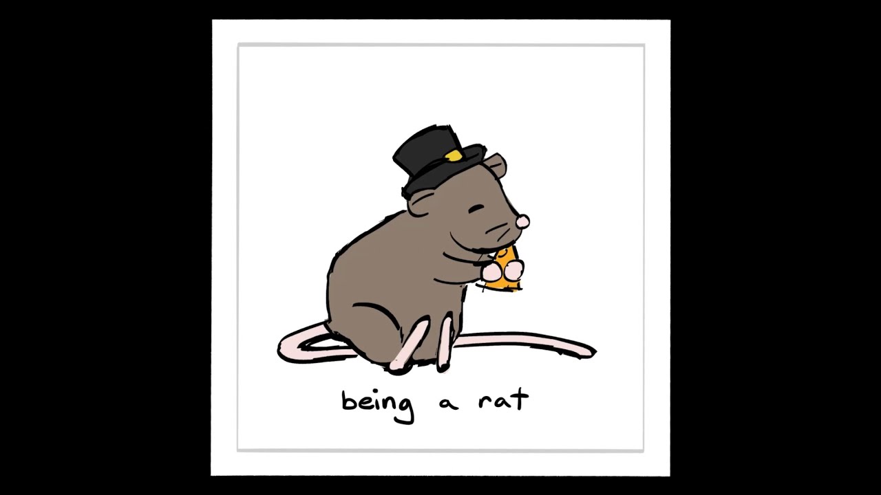 being a rat - CalArts 48 Hour Film - YouTube