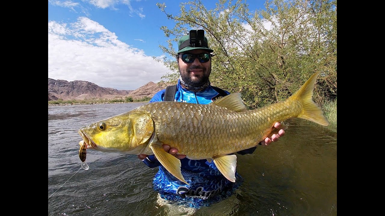 Yellow Fever @ the Orange River Part 1 (Spinning for Yellowfish) - YouTube