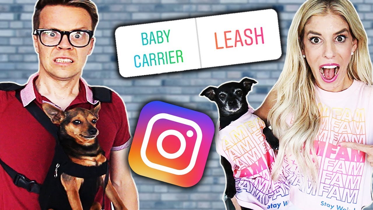 Letting our Instagram Followers Control Our Lives for 24 Hours | Pawzam ...
