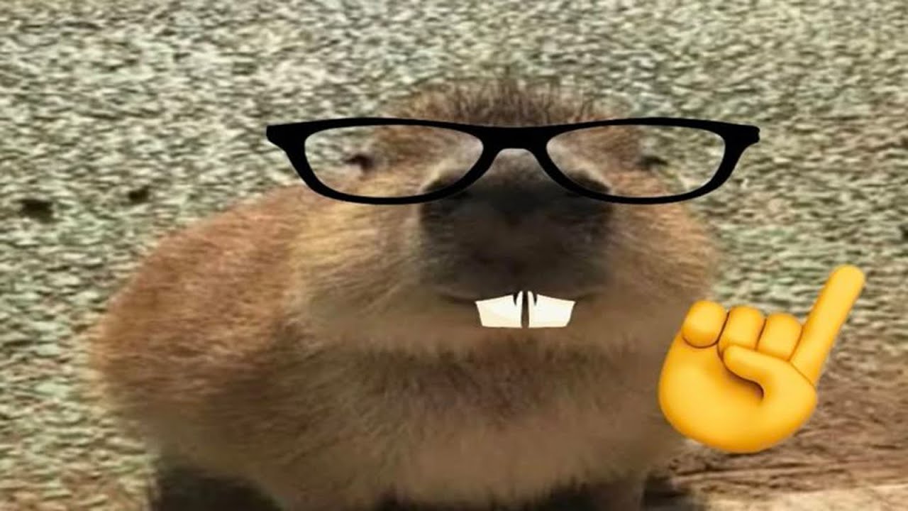 Top 10 Masbro... (Capybara Meme) - YouTube