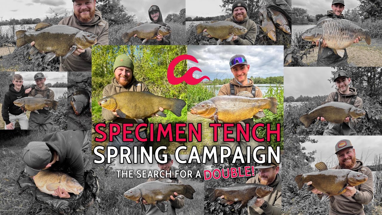 Specimen Tench Fishing - The search for a double figure Tench! - YouTube
