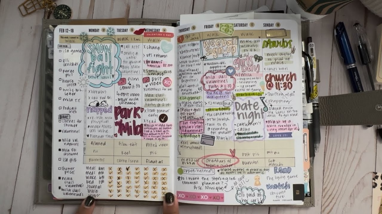 Feb flip in my Commit30 | How it’s going | #plannerflip #commit30 #flipthrough - YouTube