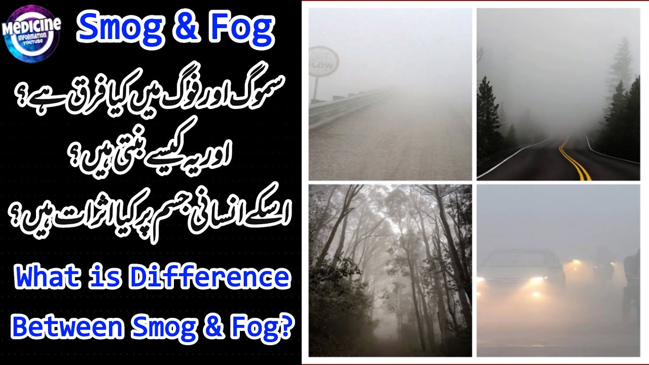 Smog Vs Fog Difference | The Science Behind Fog And Smog | Side Effects ...