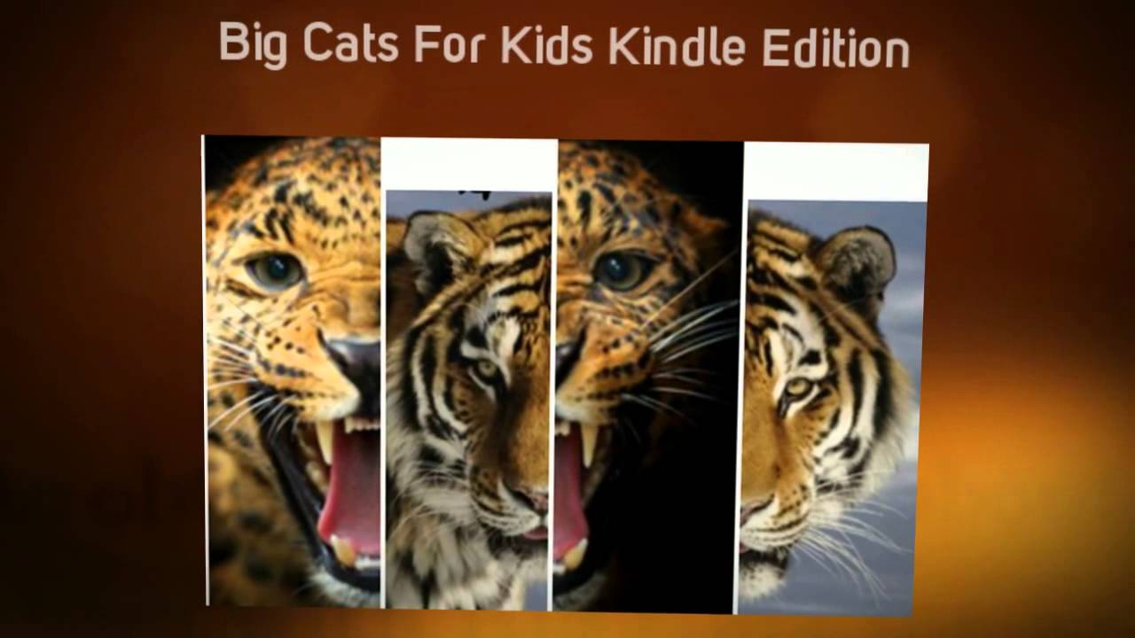 Endangered Big Cats -- Big Cats For Kids -- Amazing Animal Books For ...