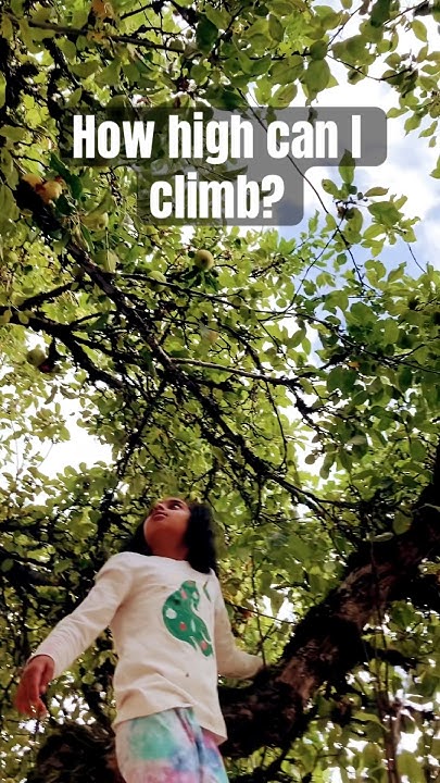 I Climbed the Tallest Apple Tree (Did not expect this) #shorts - YouTube