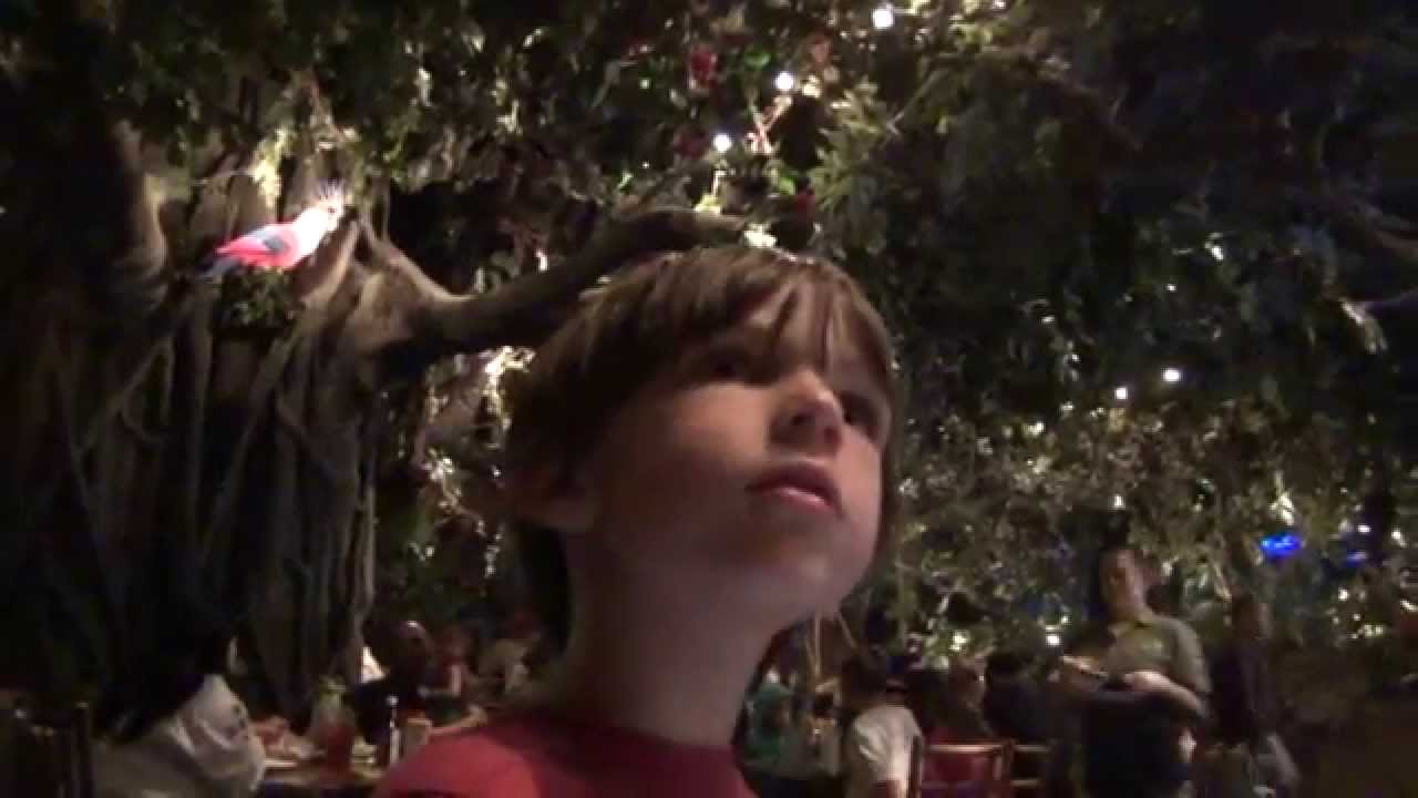 Rainforest Cafe Sawgrass Mills Mall Sunrise Florida - YouTube