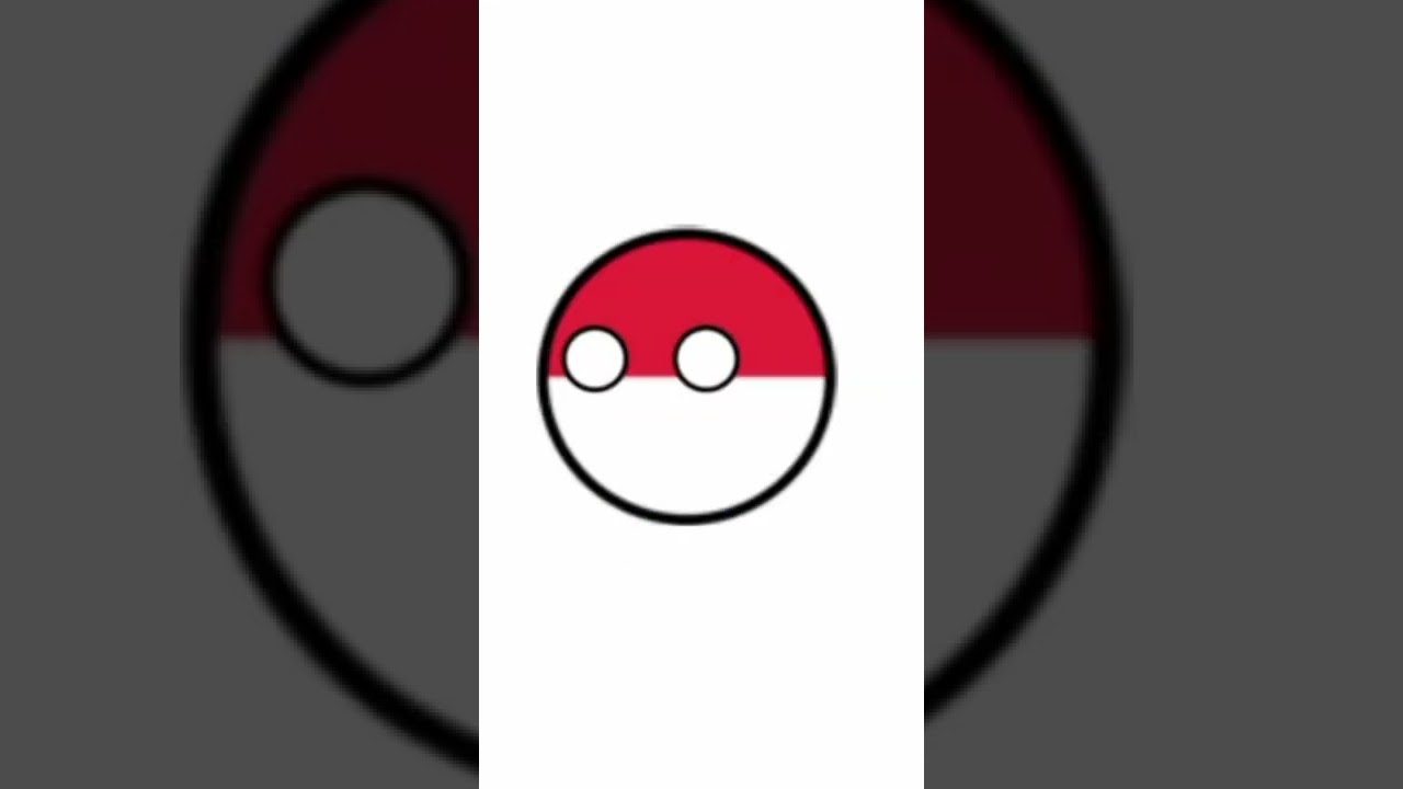 poland flips his flag - YouTube