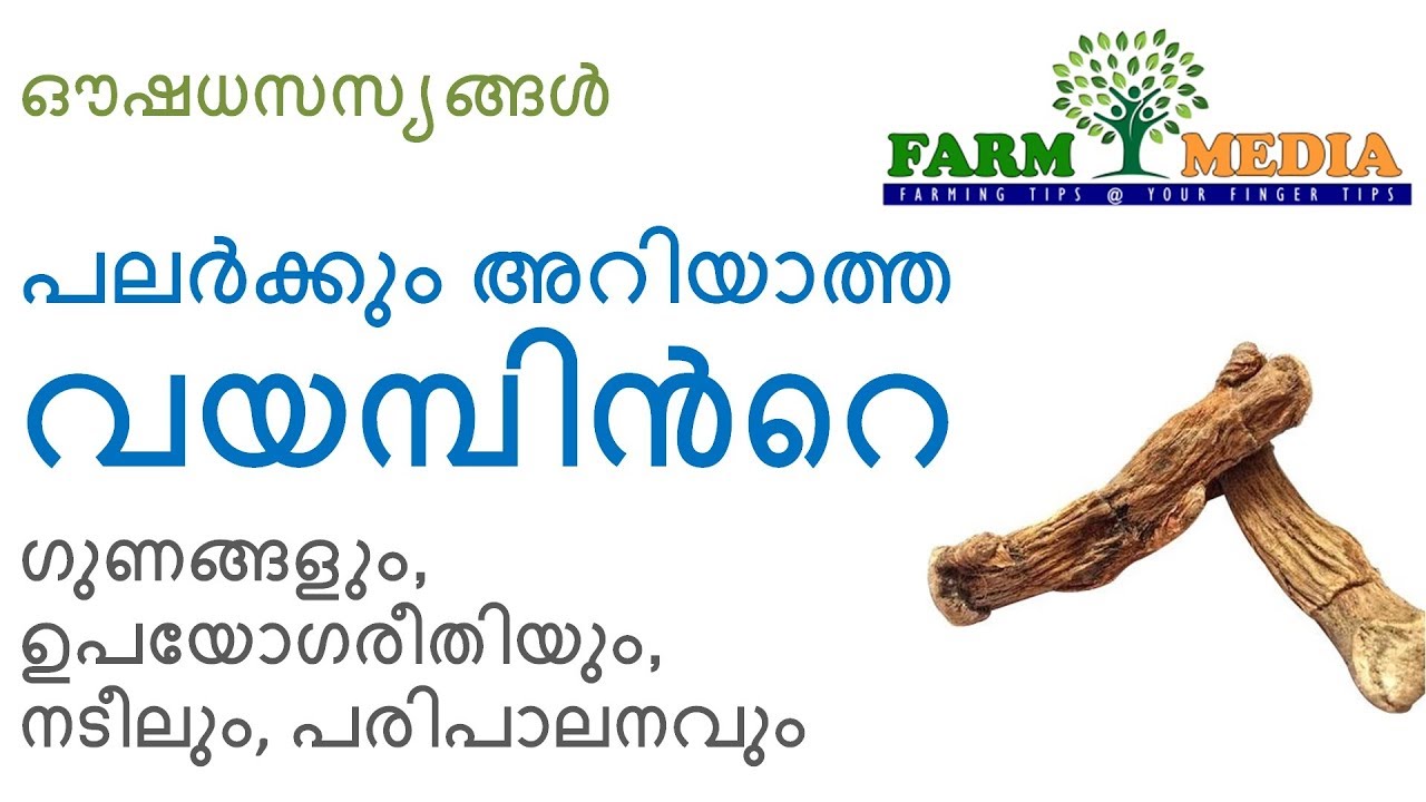 Want to Know about benefits, medicinal value, farming of Vayambu Vayamb ...