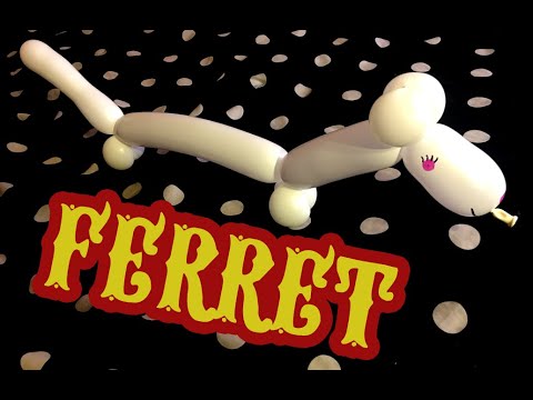 How to Make a Ferret - JekJek's Balloon Lessons - YouTube