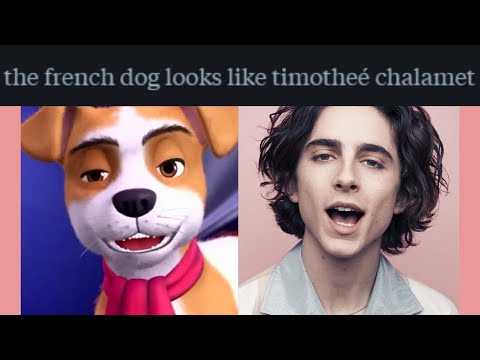 more great Barbie movie reviews