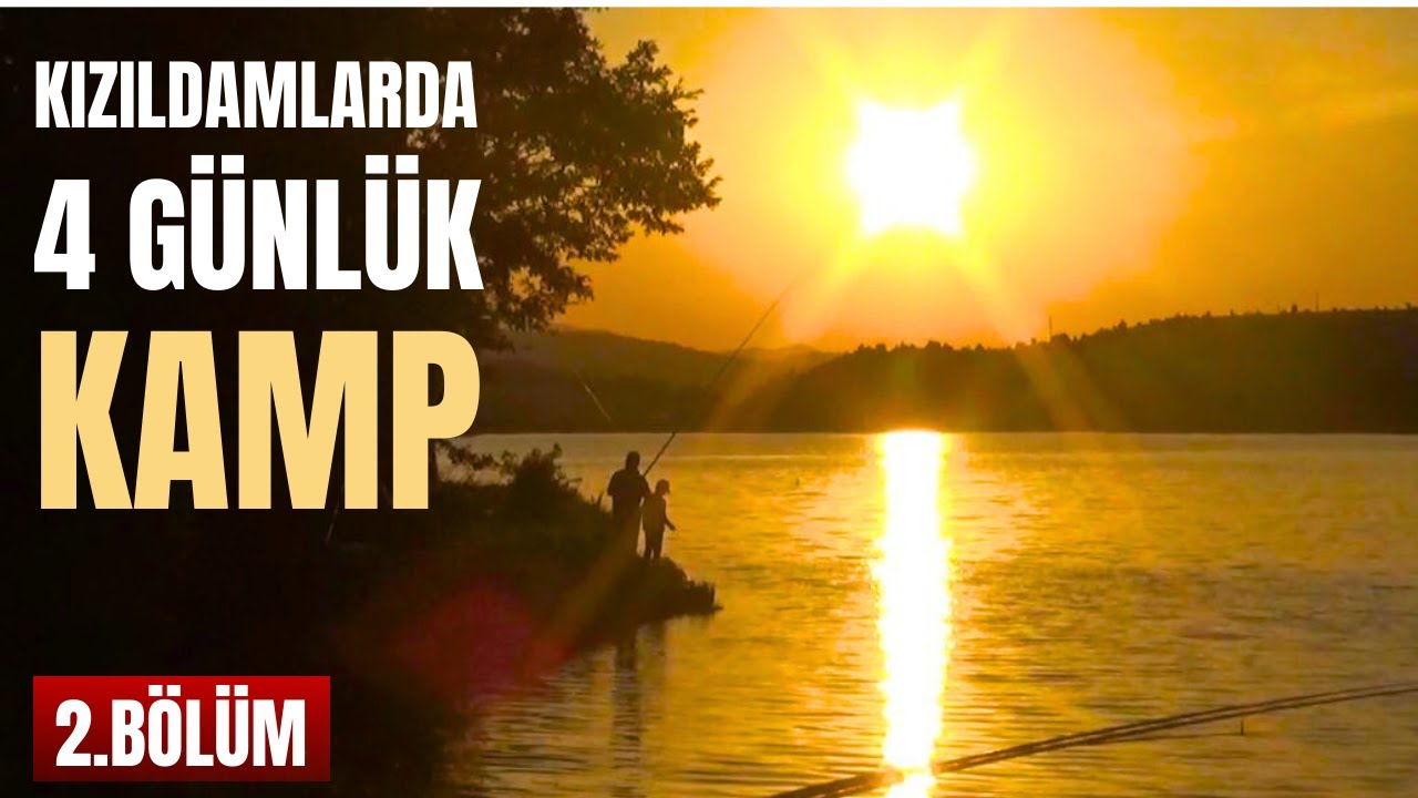 ÇAN SESİ ZİL SESİ DOĞANIN EN GÜZEL SESLERİ,AZCIK ÇALIŞIN,BU NE YA 5 ...