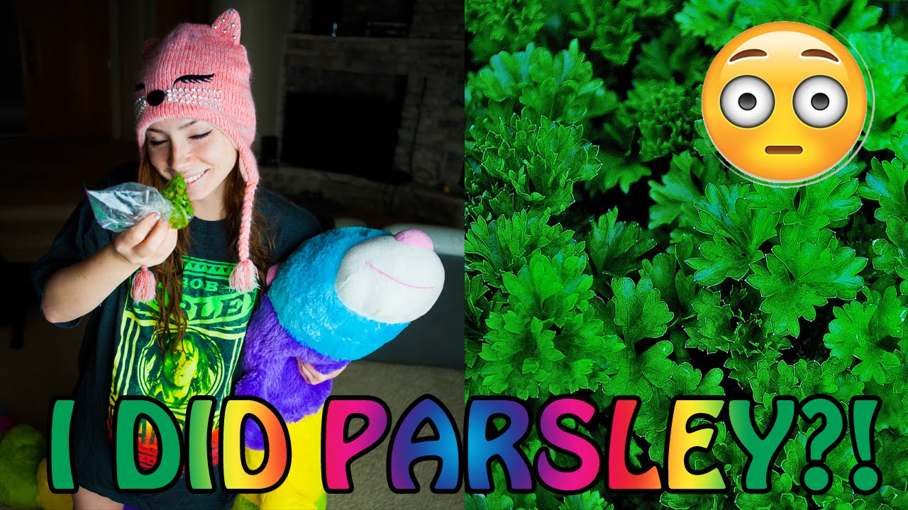 I DID PARSLEY! - YouTube
