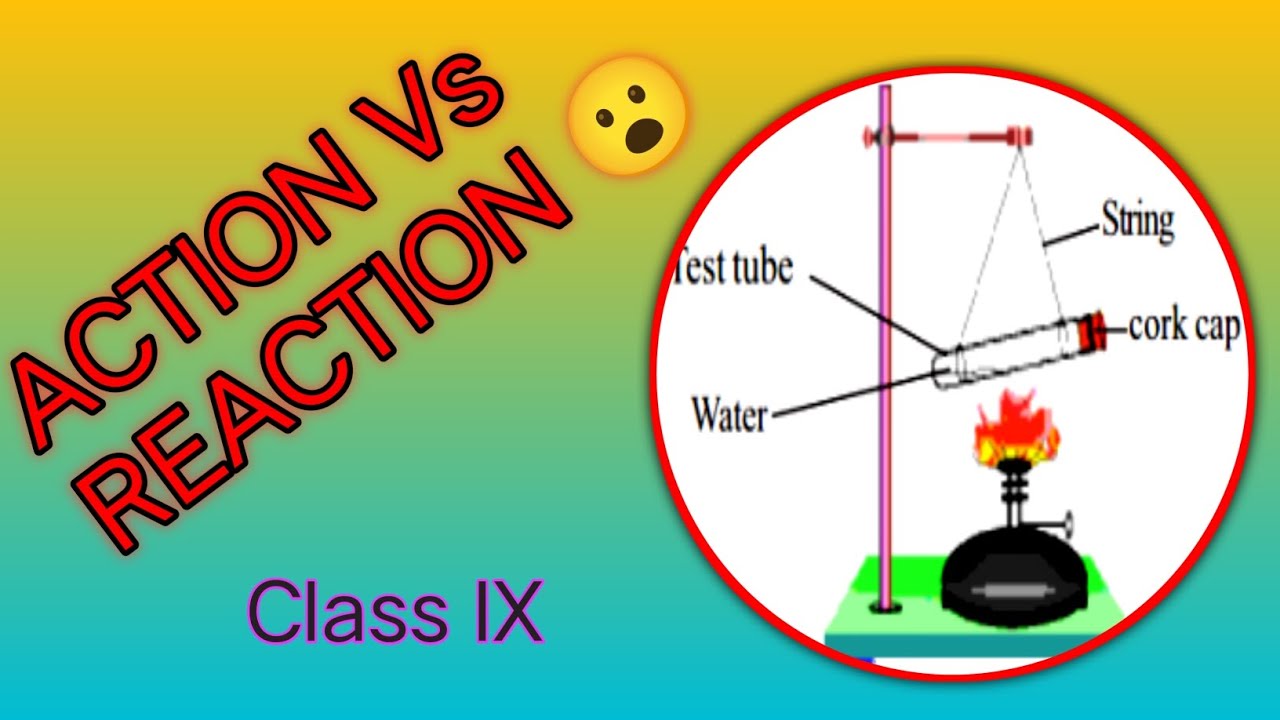 ACTION VS REACTION FORCES# Class IX Science Experiments # Newton's 3rd ...