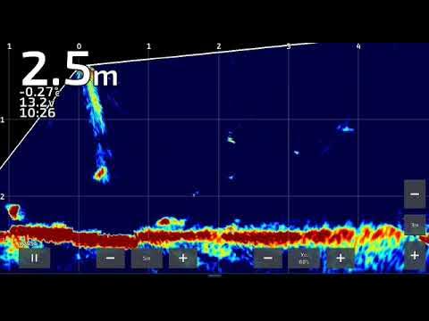 паноптикс крупный окунь и щука - YouTube