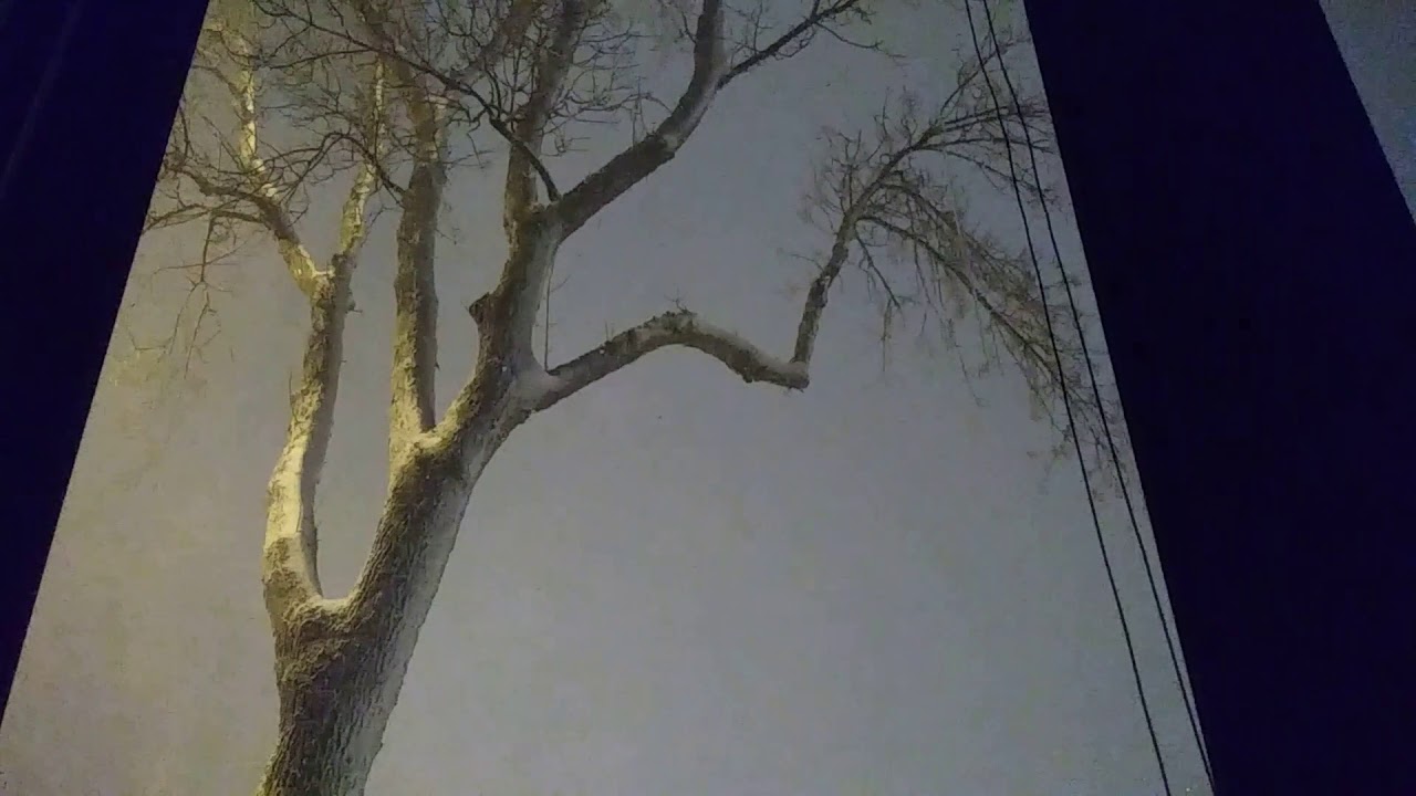 Madrugada 4/11/2019 - YouTube