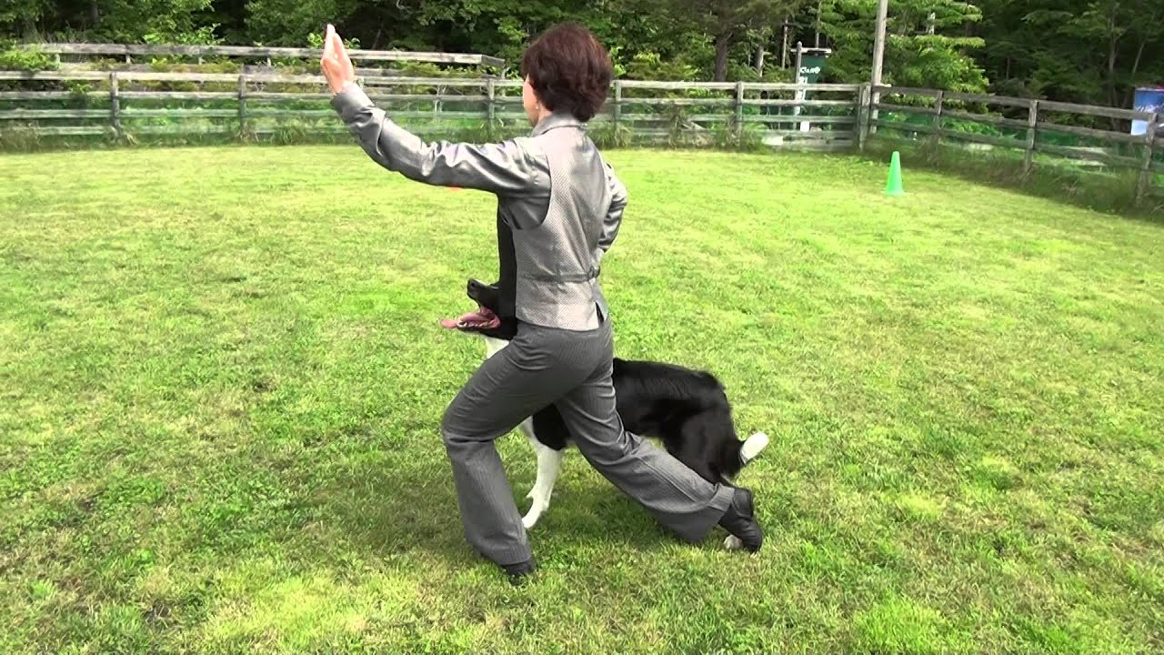 WCFO June Video Competition 2015 HTM BEG 1st Place - YouTube