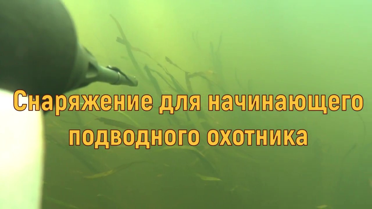 Снаряжение для начинающего подводного охотника - YouTube