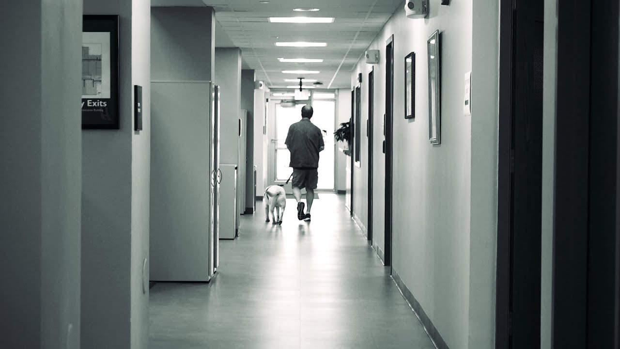 Dr. David Baugh - A Final Message to the CSD Community - Week 15 - YouTube