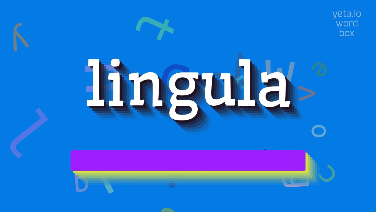 How to say "lingula"! (High Quality Voices) - YouTube