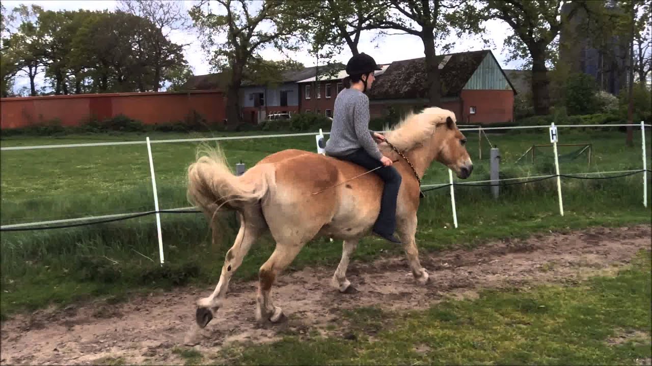 Lisa & Artus - Freestyle einfache Galoppwechsel - YouTube