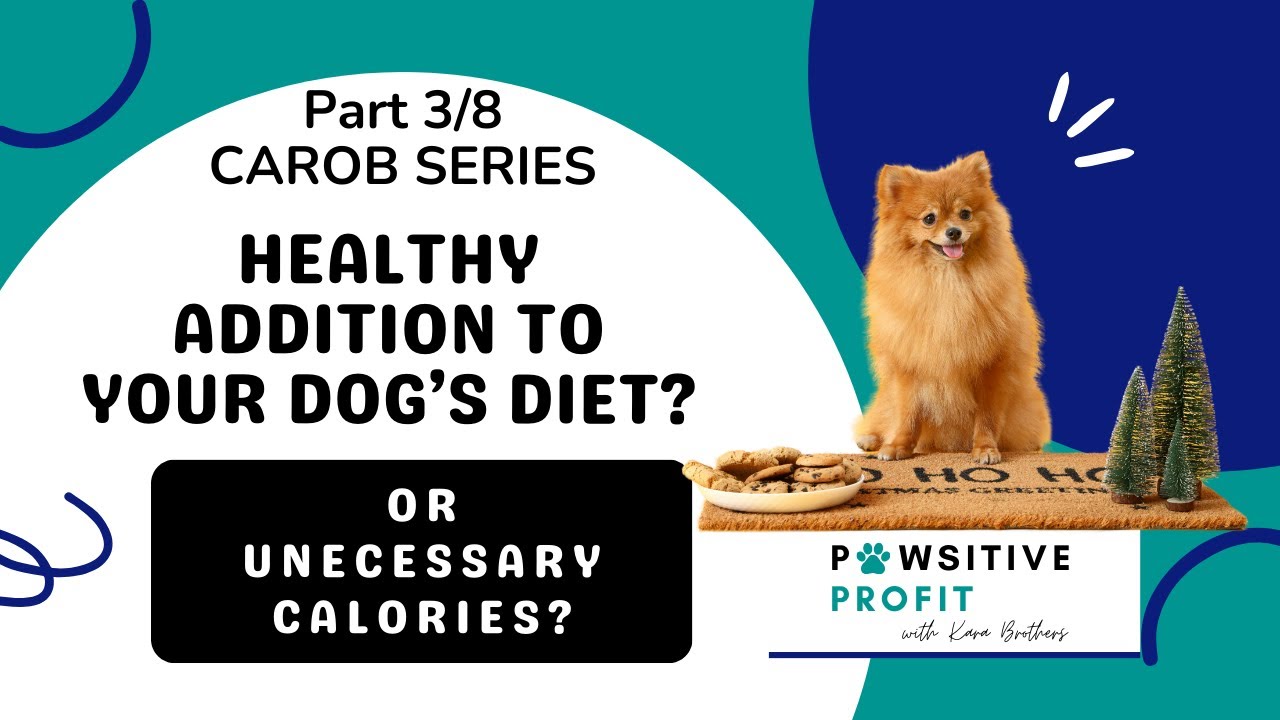 Pawsitive Profit SERIES: CAROB NUTRITION Healthy Addition to Your Dog's ...