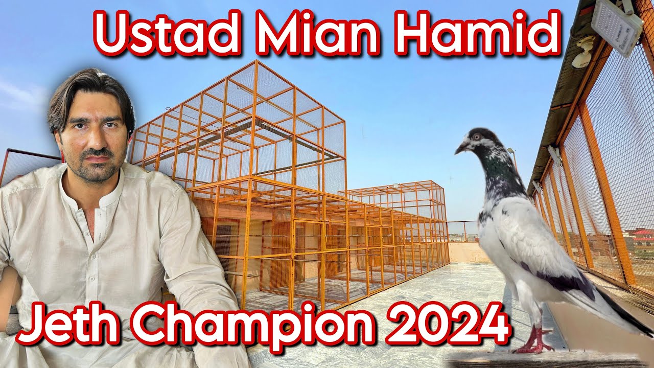 Ustad Mian Hamid Jeth 2024 Lahore Champion Pigeons Squad - YouTube