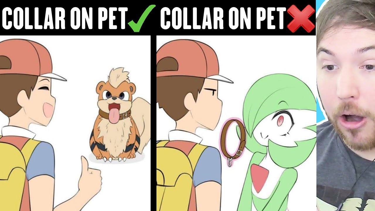WHEN YOUR PET POKEMON IS TOO EAGER TO WEAR A COLLAR - Pokemon Memes ...