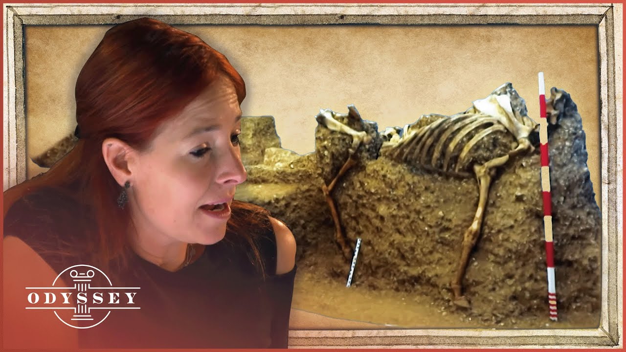 Archaeologists Uncover Bizarre Chariot Burial From Iron Age Britain ...
