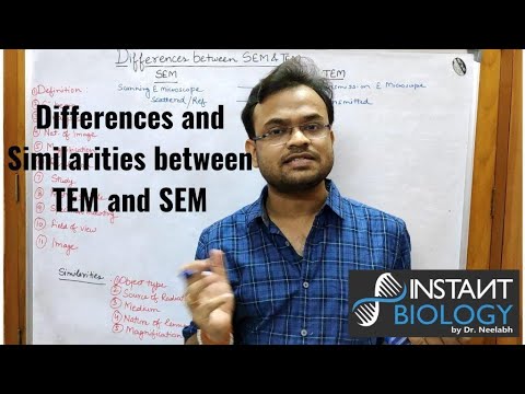 Differences between SEM and TEM - YouTube