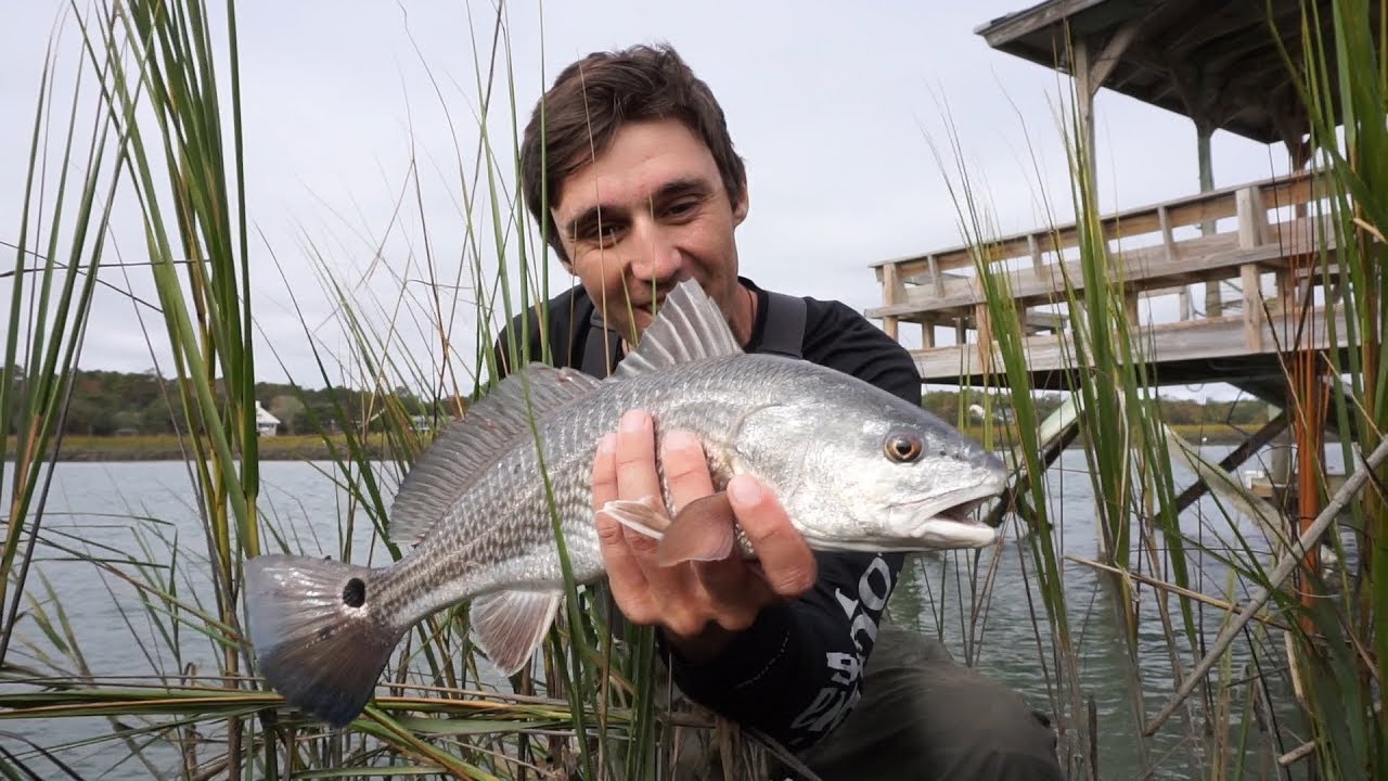 The Redfish Dock! South Carolina Redfish, Flounder, and Spotted ...