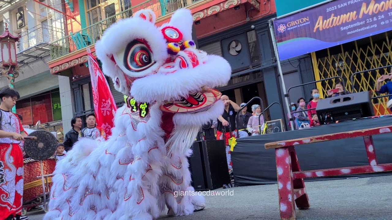 Bench and Bucket Routine Lion Dance by Leung's White Crane Kun Seng ...