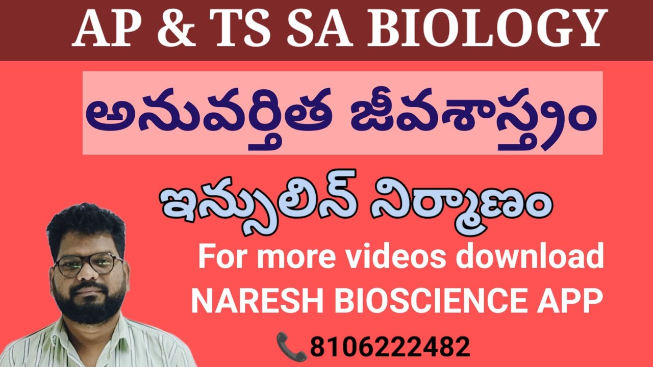 ఇన్సులిన్ నిర్మాణం||అనువర్తిత జీవశాస్త్రం||NAERSH BIOSCIENCE - YouTube