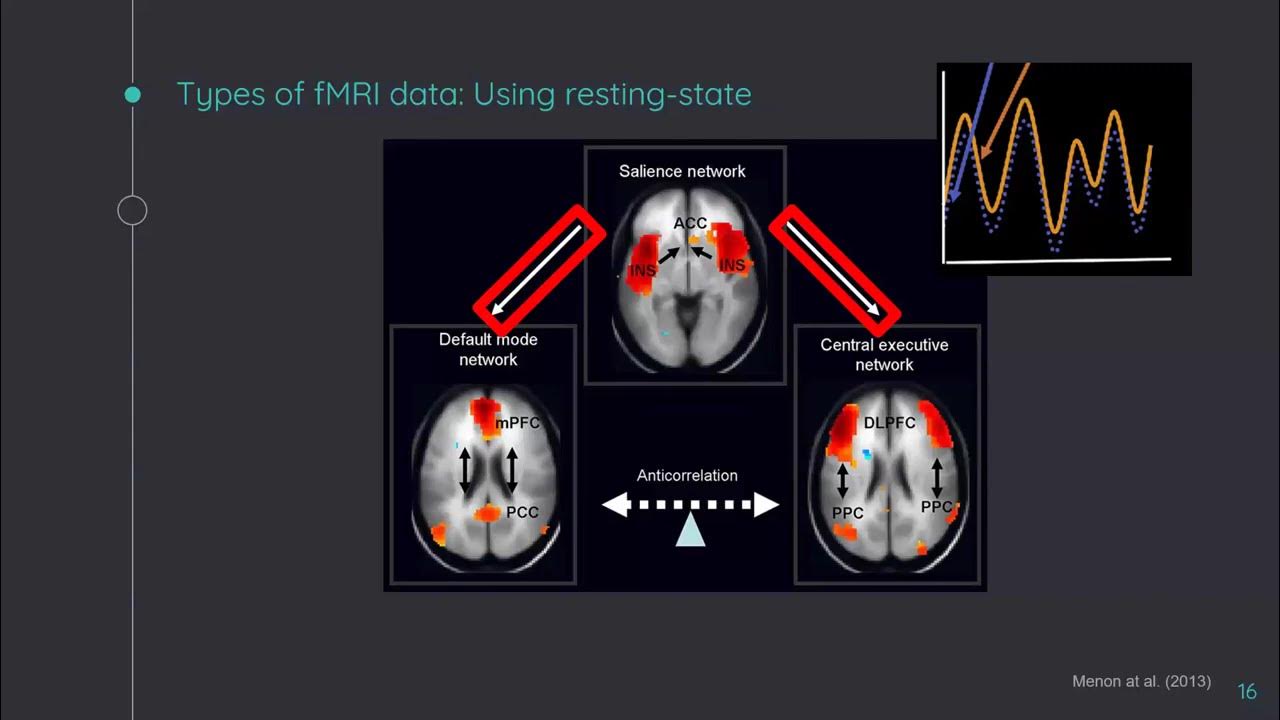Introduction to fMRI data analysis in Python (Basic) - YouTube