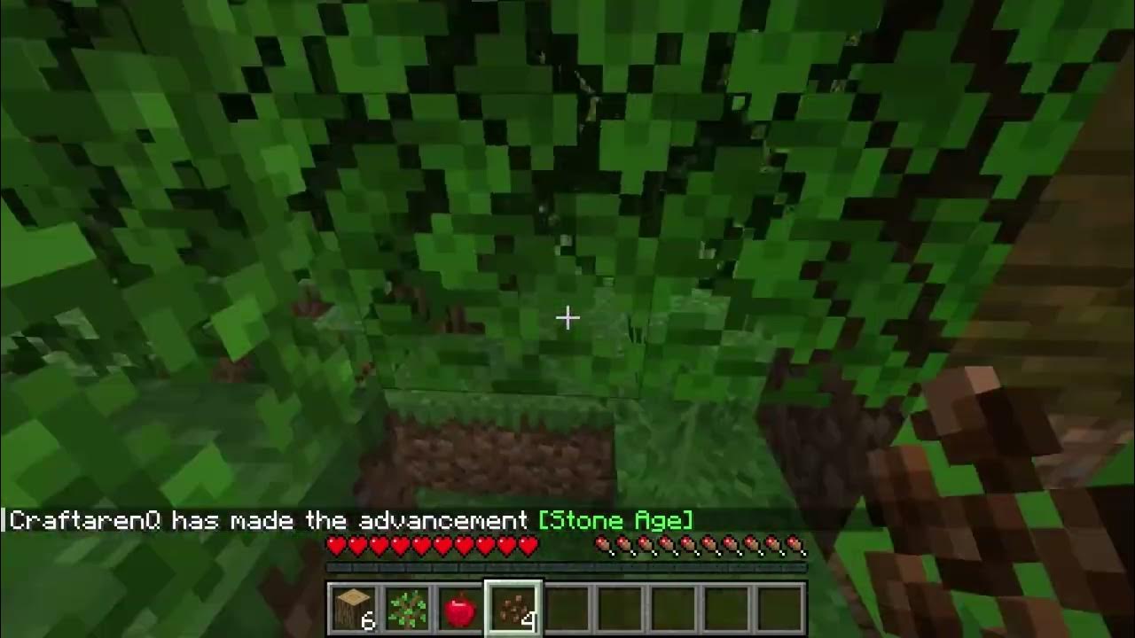 RabbitCraft official episode 1, funny bunny. - YouTube