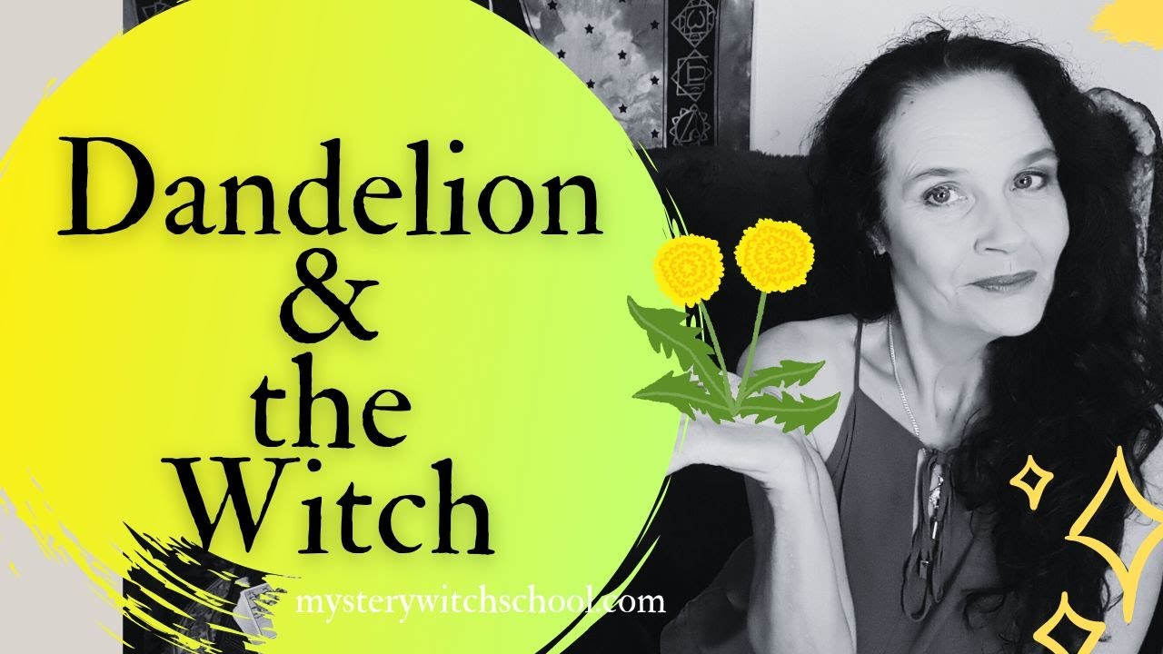 Witchcraft, Dandelion, Healing, Magick and Cooking - YouTube