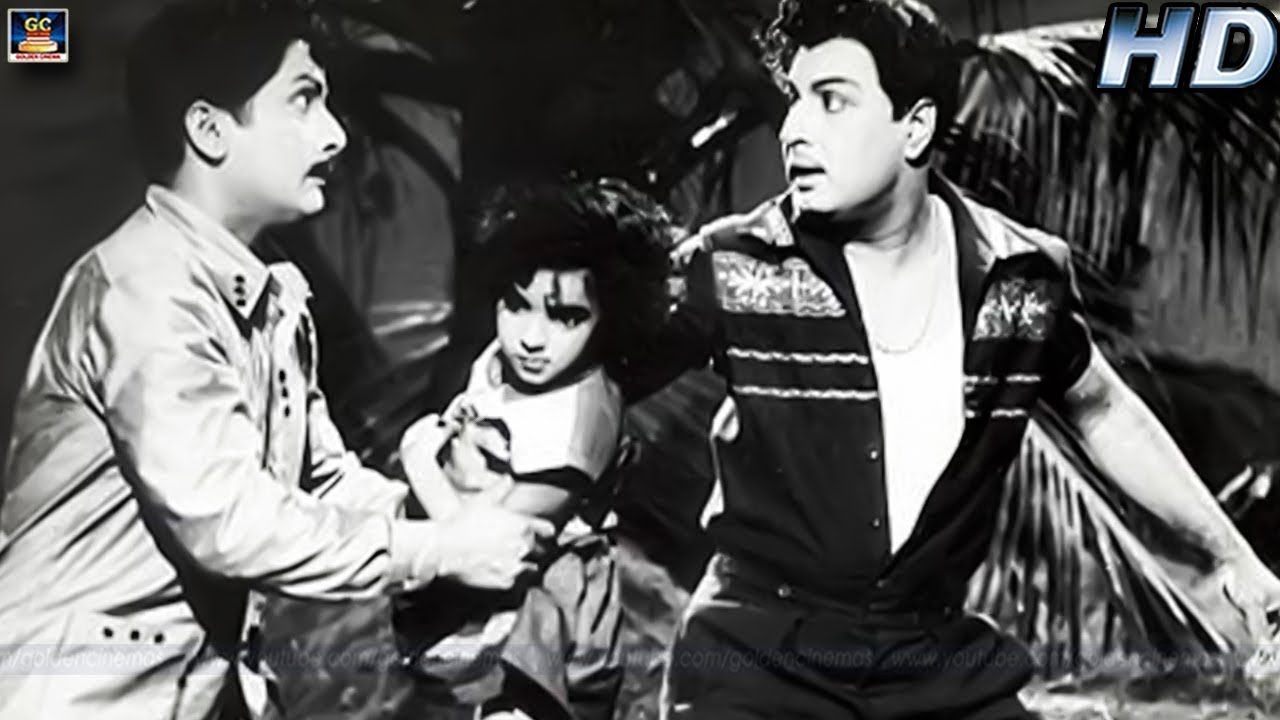 மக்கள் திலகம் எம்.ஜி.ஆர்-ன் சூப்பர்ஹிட் சண்டை காட்சிகள்...மெகாஹிட் ...