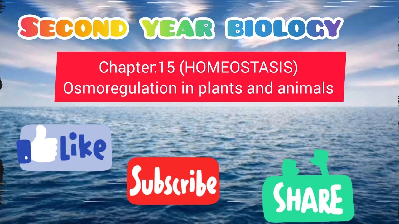 osmoregulation in plants and animals|Second year biology| chapter 1 ...