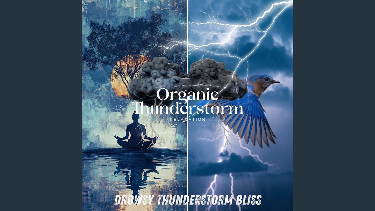 Storm Sounds - YouTube