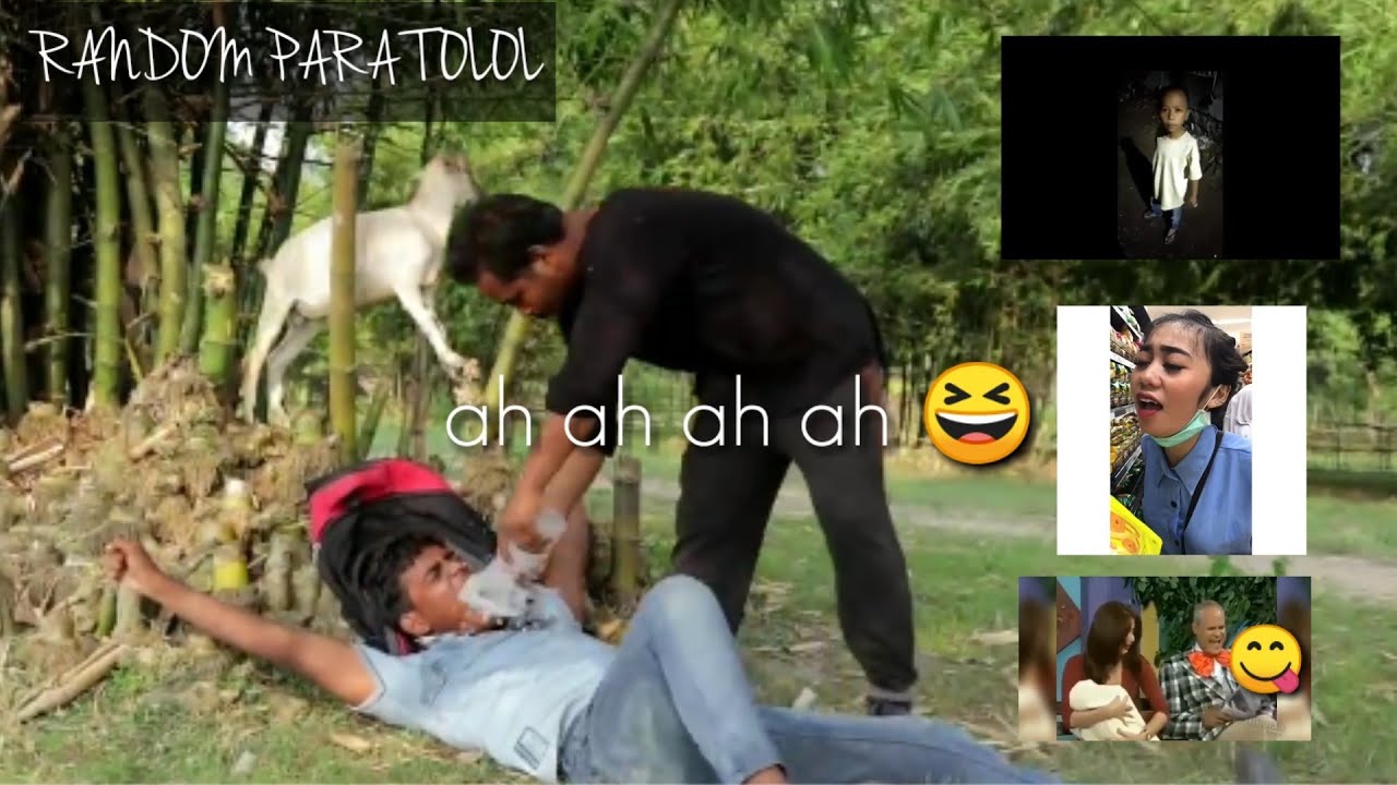 Random para tolol - YouTube