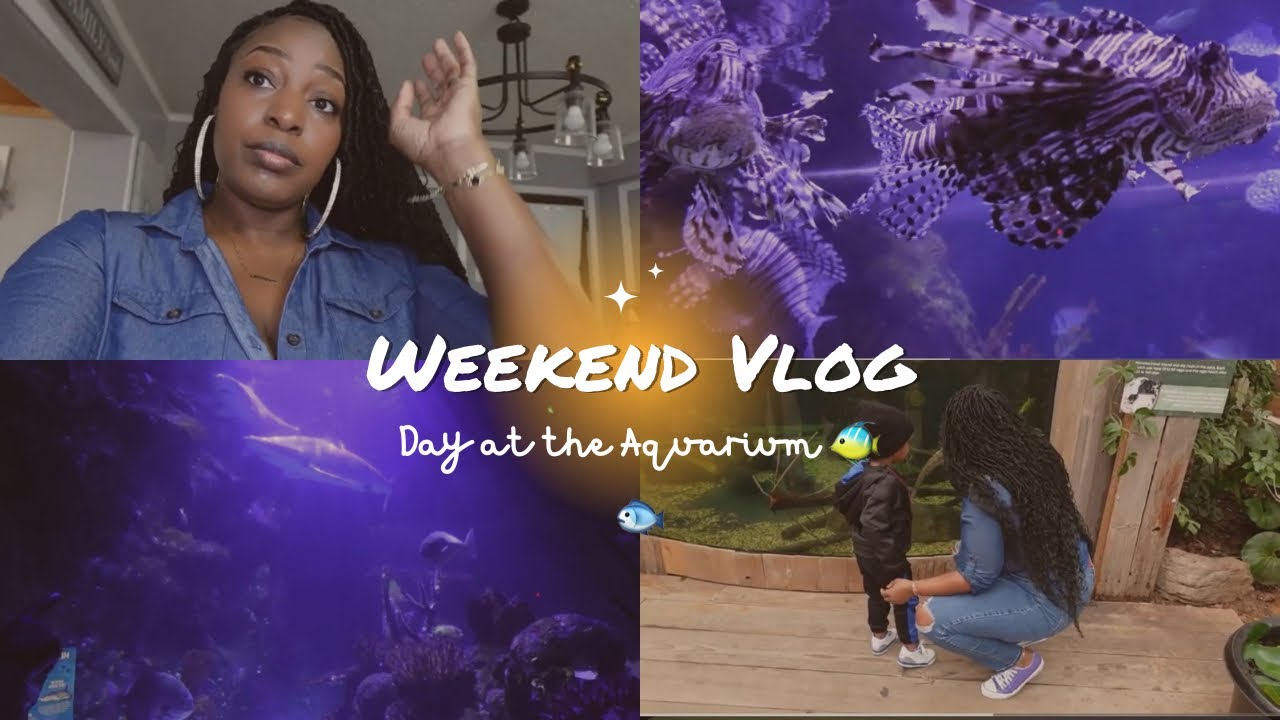 Busy Weekend Vlog: Day at the Aquarium + Dinner at Laughing Crab + Skating. - YouTube