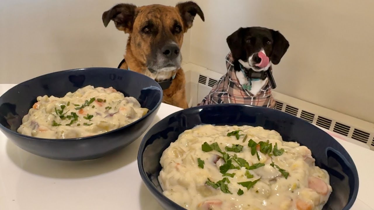 Chowder for Dogs | Cooking for Dogs |Vlog - YouTube