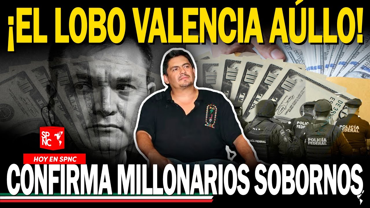 EL LOBO VALENCIA SACUDE EL JUICIO DEL SIGLO: HUBO S0B0RN0$ MILLONARIOS ...