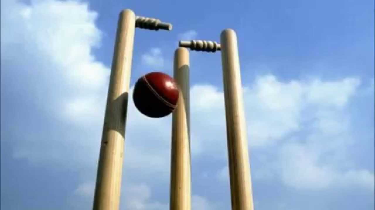 Cricket Fricket - YouTube