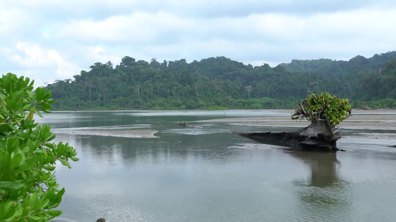 Galatea Bay Great Nicobar Island - YouTube